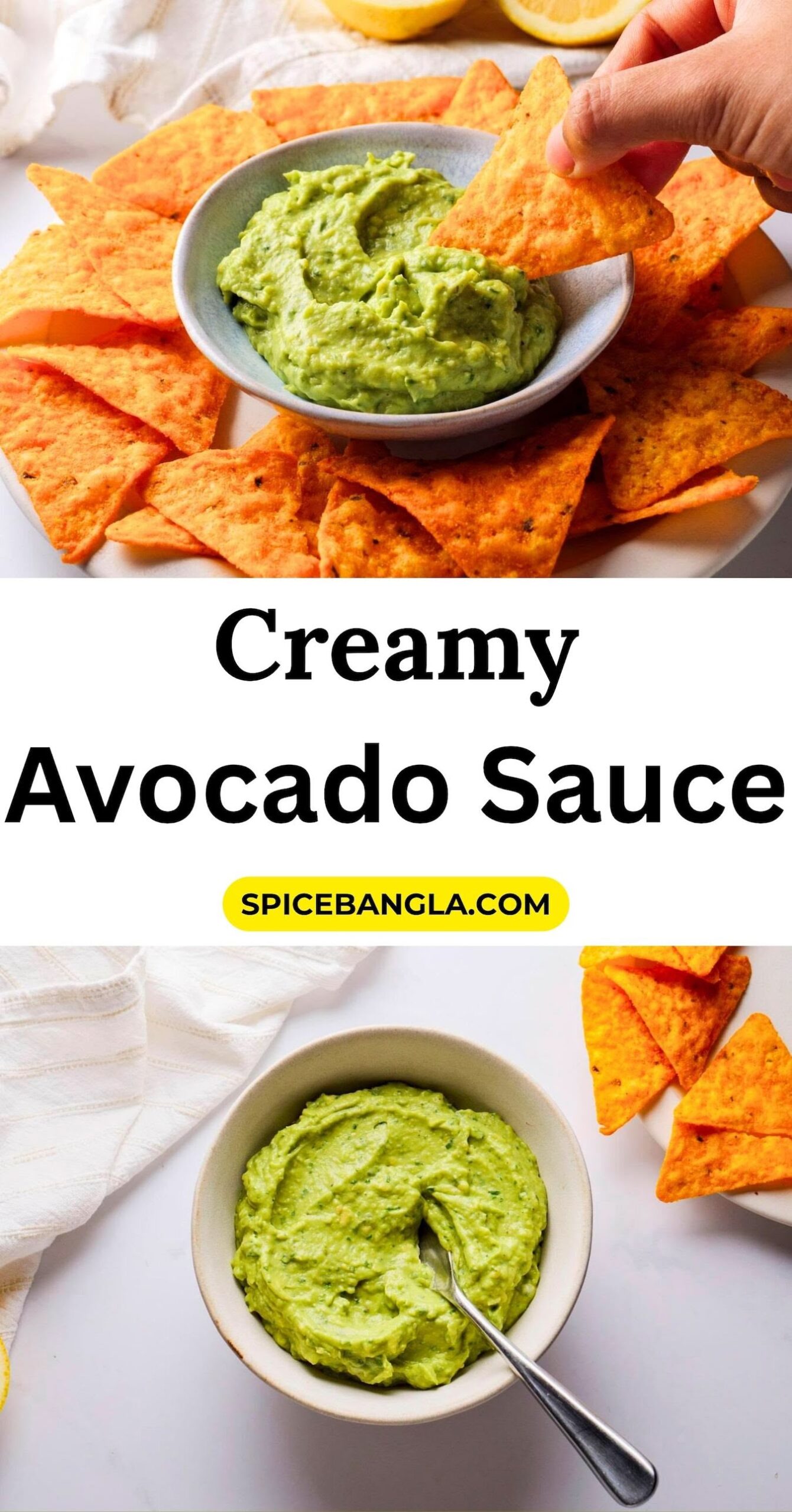 Creamy Avocado Sauce Recipe